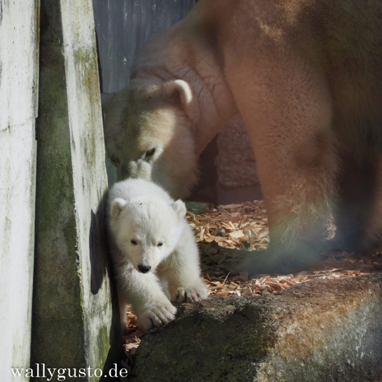 Schinderstadl | Thalkirchen – Wallygusto