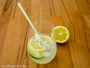 Zitronenlimonade | Buchvorstellung – Wallygusto